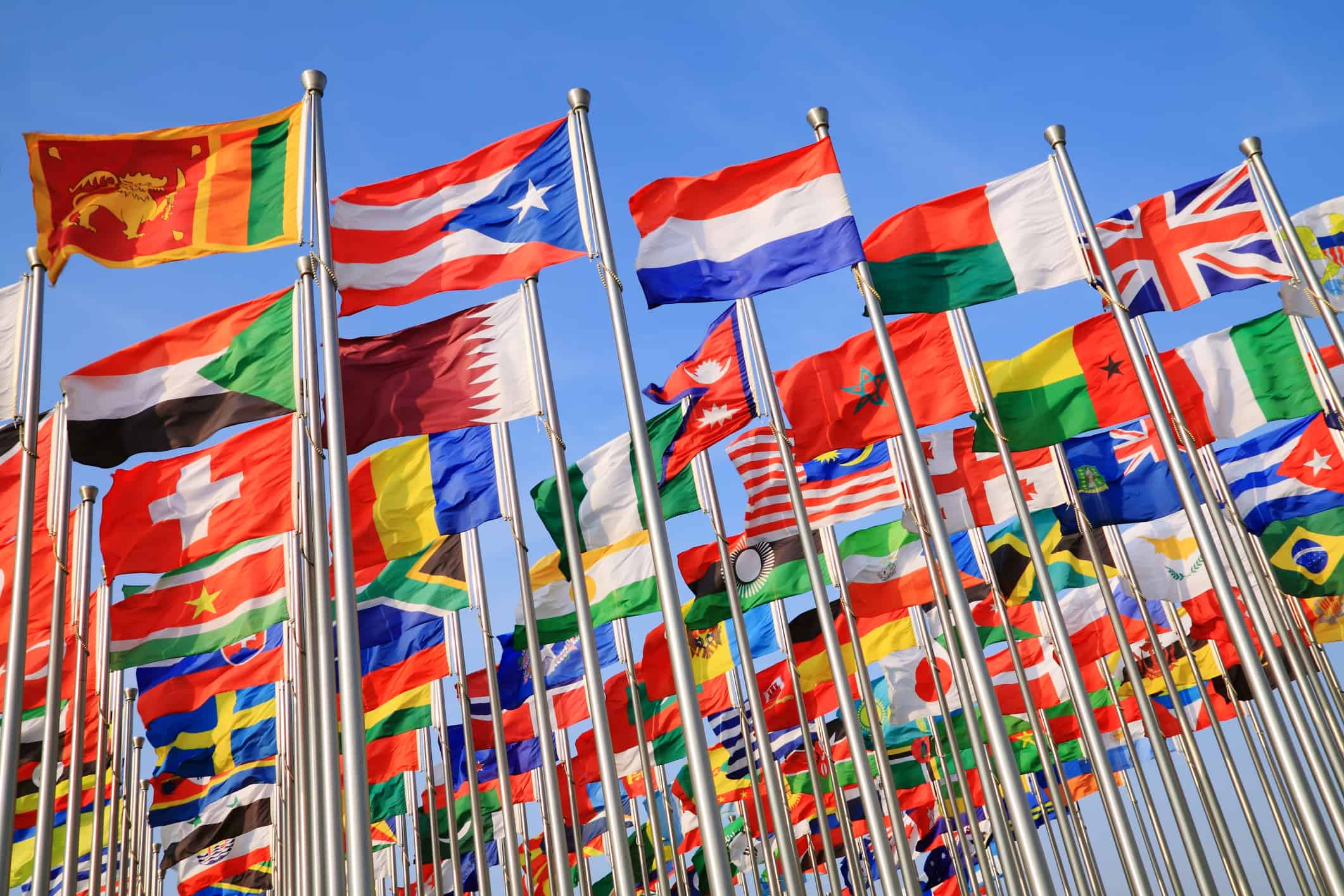 7 Things I Learned as an International Student 7 Things I Learned as an International Student